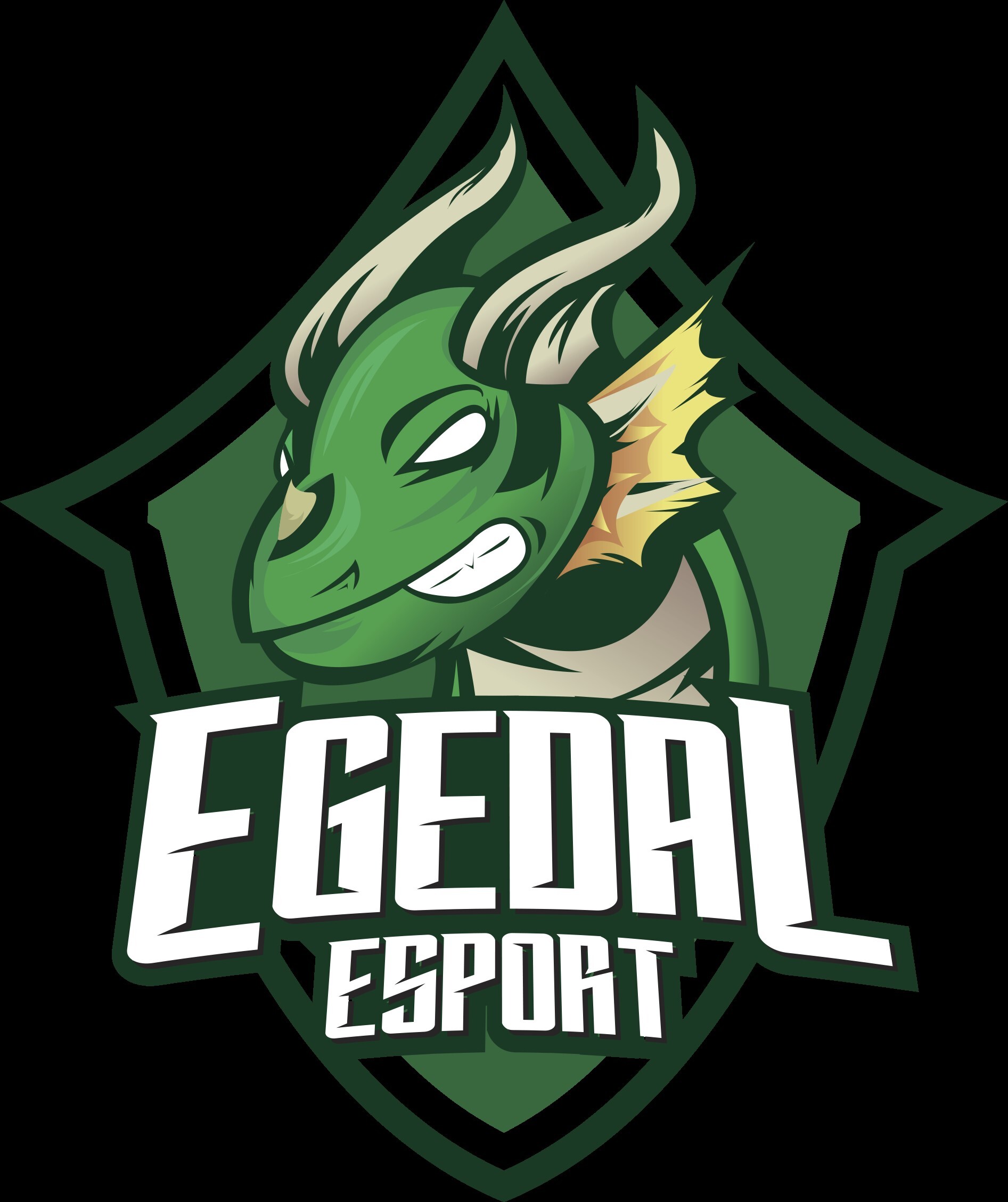 Downloads - Egedal Esport